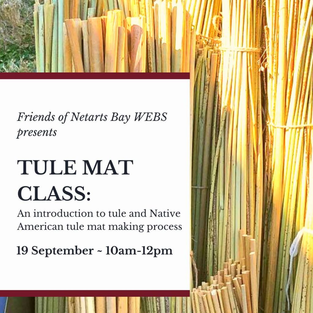 Tule Mat Class Sept. 19 with Friends of Netarts Bay WEBS: Learn about ...