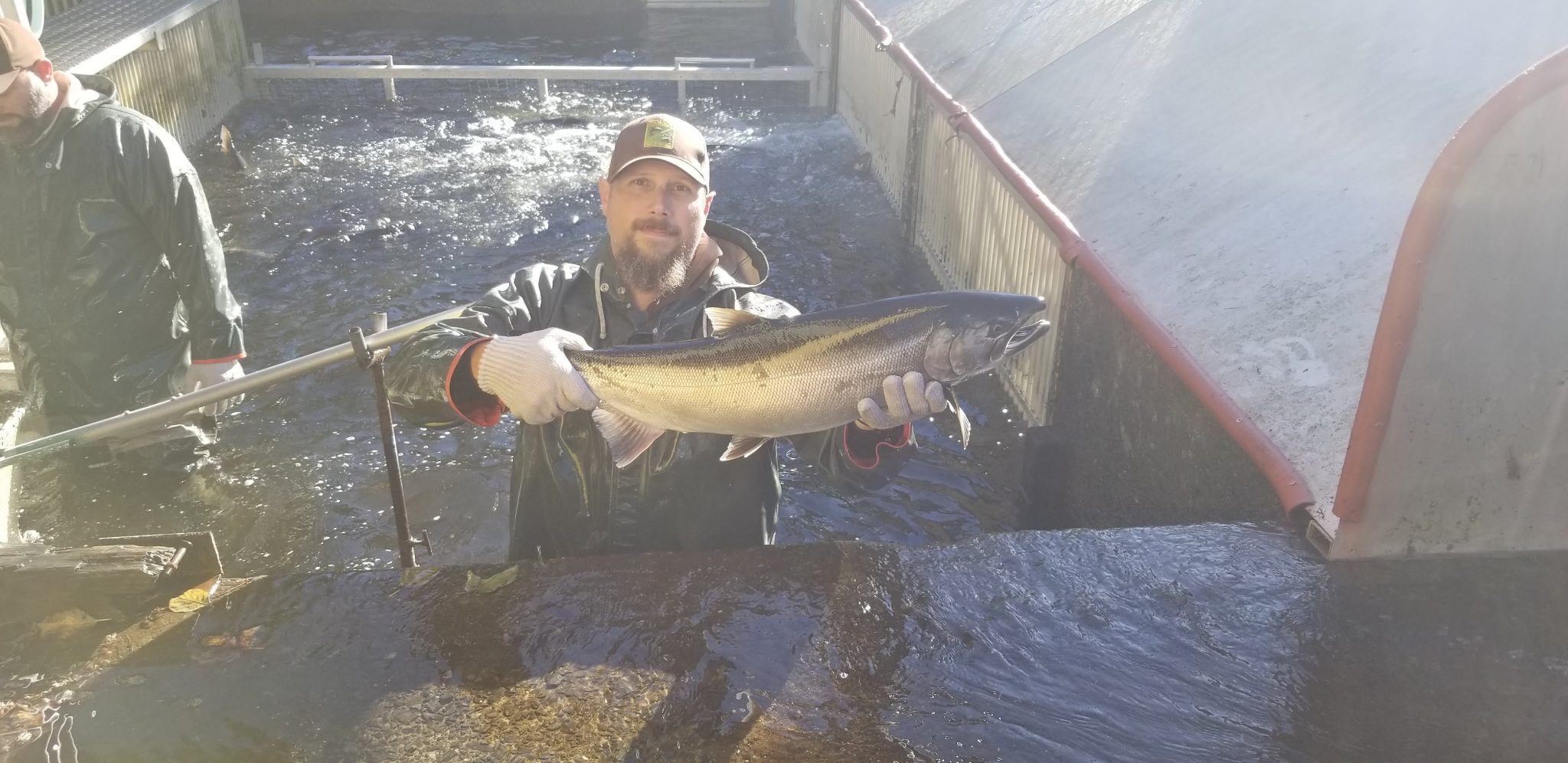 GOOD NEWS FOR 2020: Smiley Brothers & Sisters North Fork Nehalem River ...