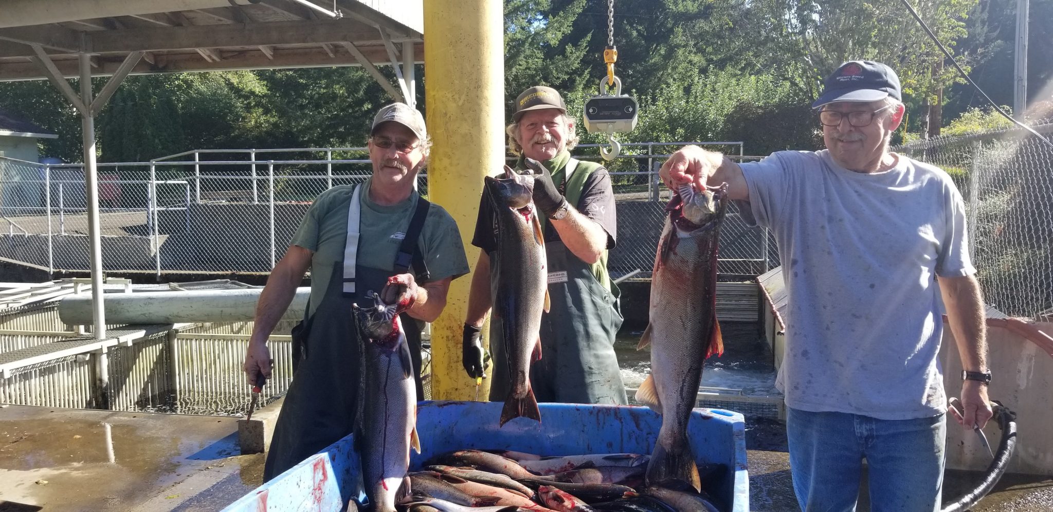GOOD NEWS FOR 2020: Smiley Brothers & Sisters North Fork Nehalem River ...