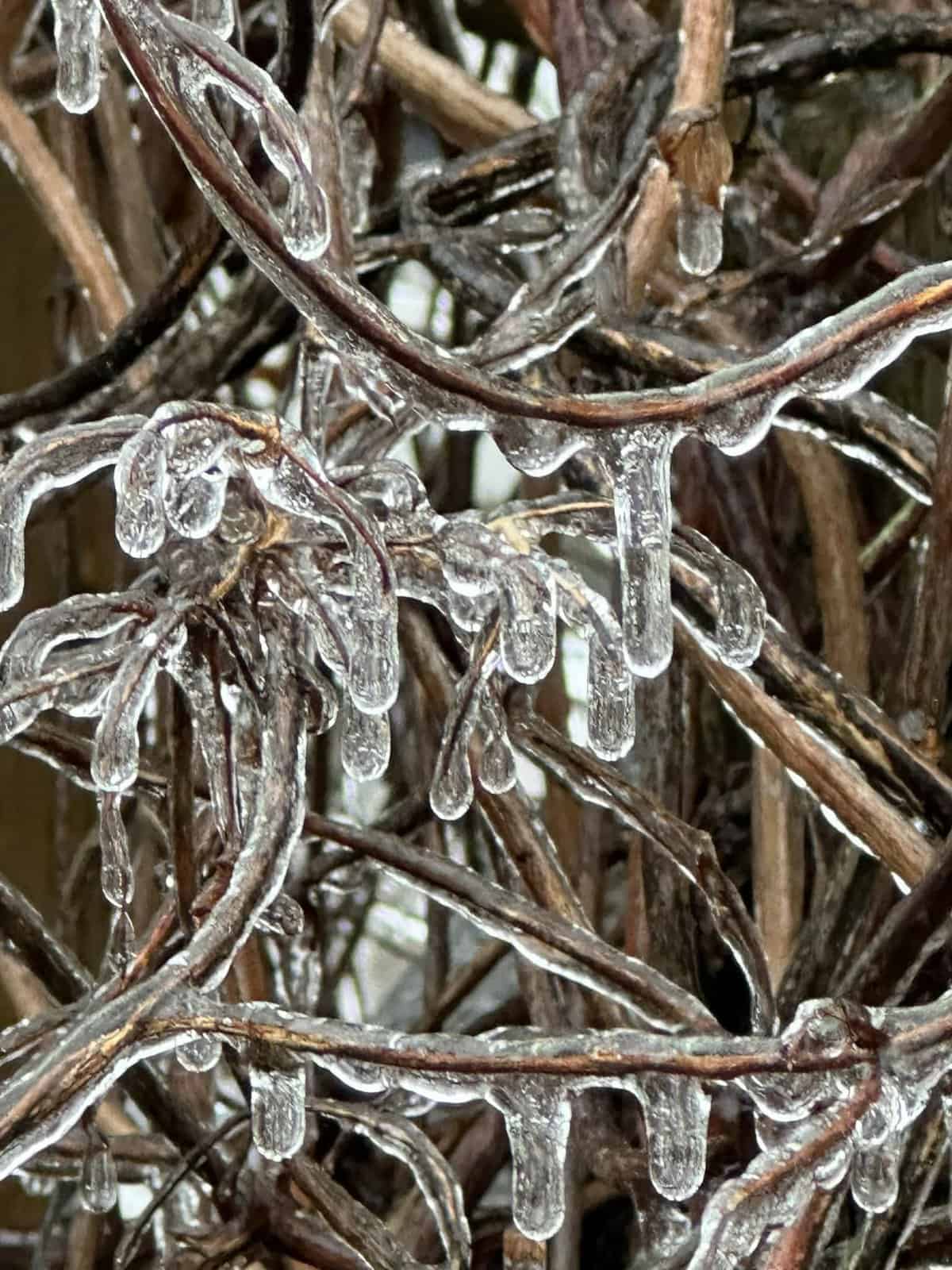 WORDS OF WISDOM: Having Patience – Tillamook County Pioneer