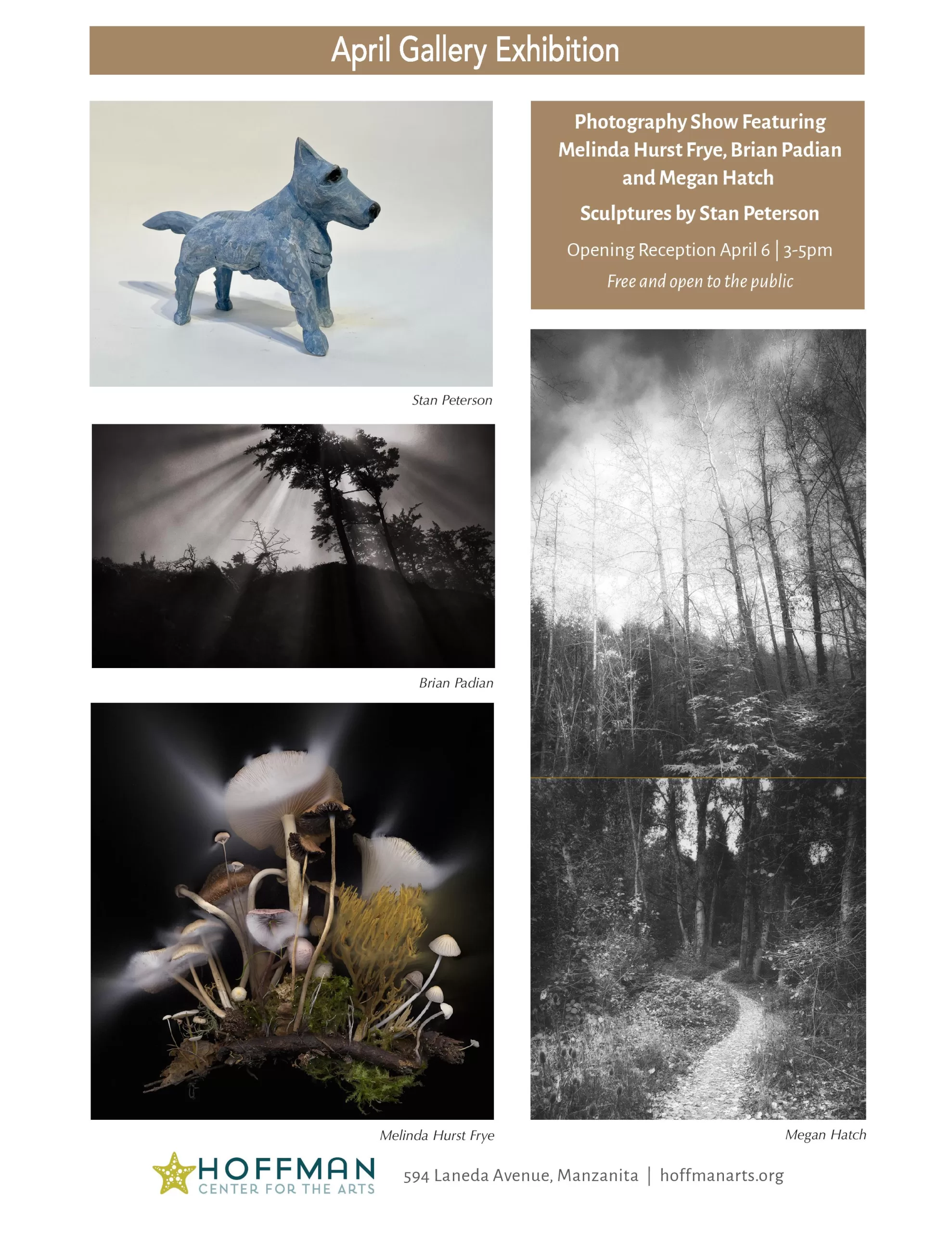 HOFFMAN CENTER FOR THE ARTS GALLERY IN APRIL: SCULPTURES BY STAN ...