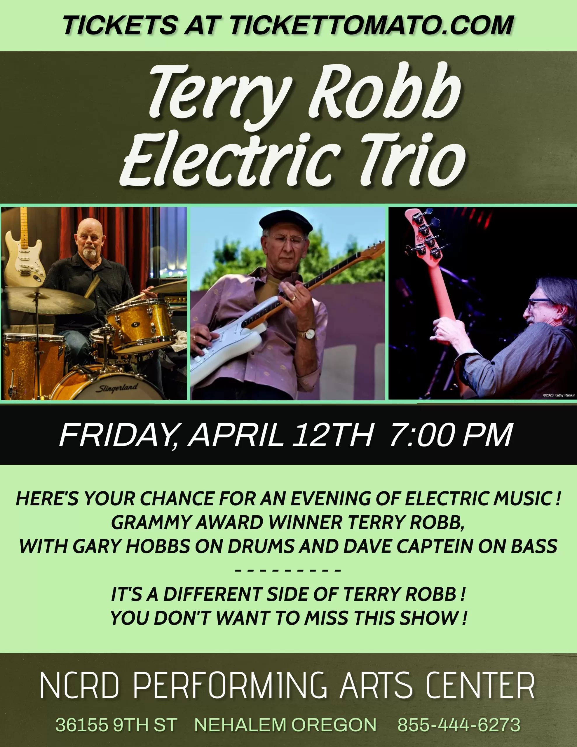 Terry Robb Electric Trio at North County Recreation District Performing ...