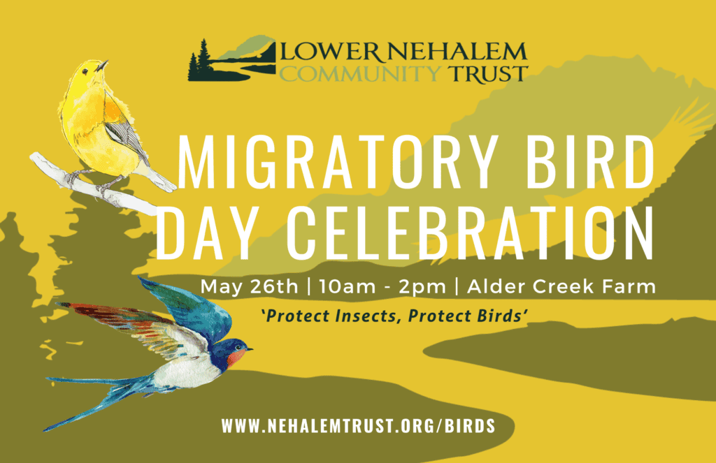 Birds, Bugs, and Blooms at the Lower Nehalem Migratory Bird Day ...