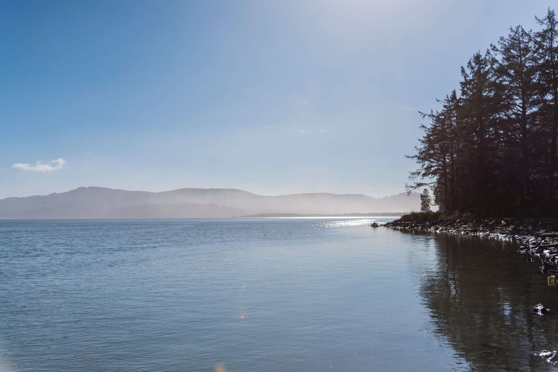 FRIENDS OF TILLAMOOK BAY: Let’s Keep Tillamook Bay Healthy – Tillamook ...