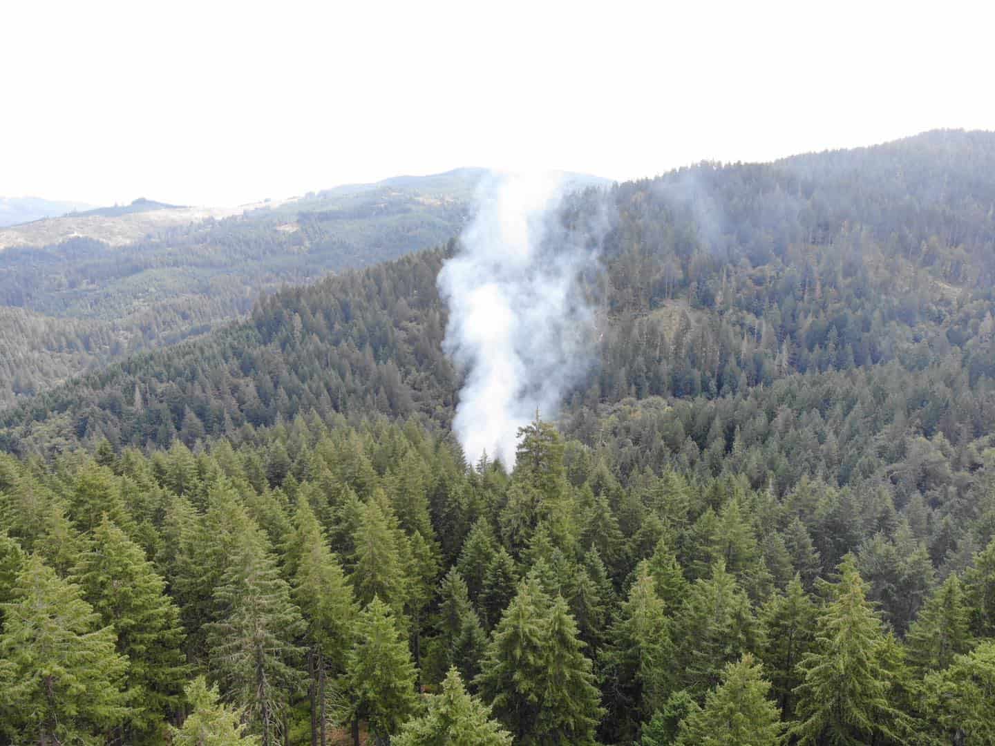 OREGON DEPT. OF FORESTRY: 5 FIRES SINCE MAY CONNECTED TO TARGET ...