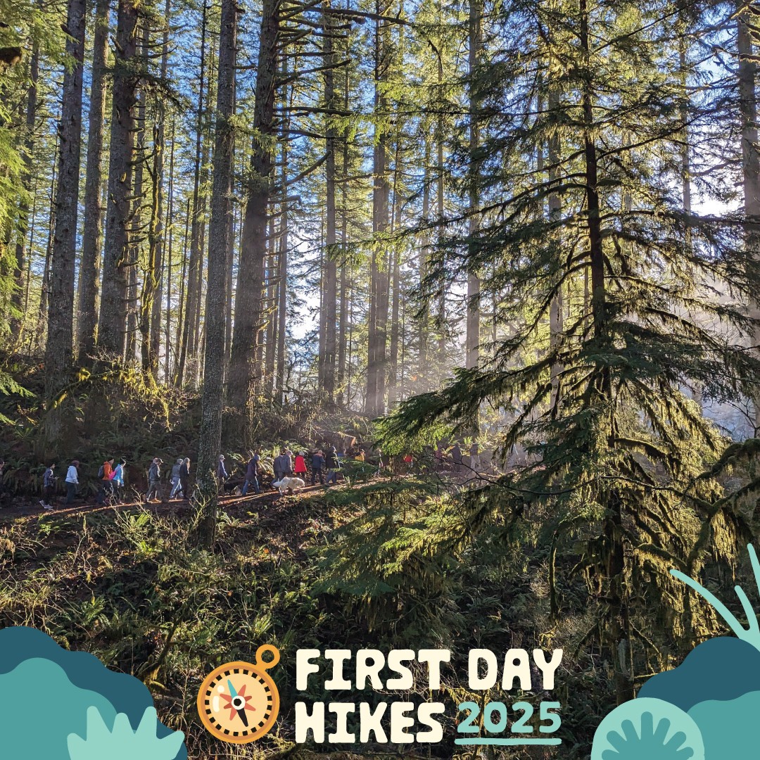 GUIDED FIRST DAY HIKES AT 30 OREGON STATE PARKS ON NEW YEAR’S DAY ...