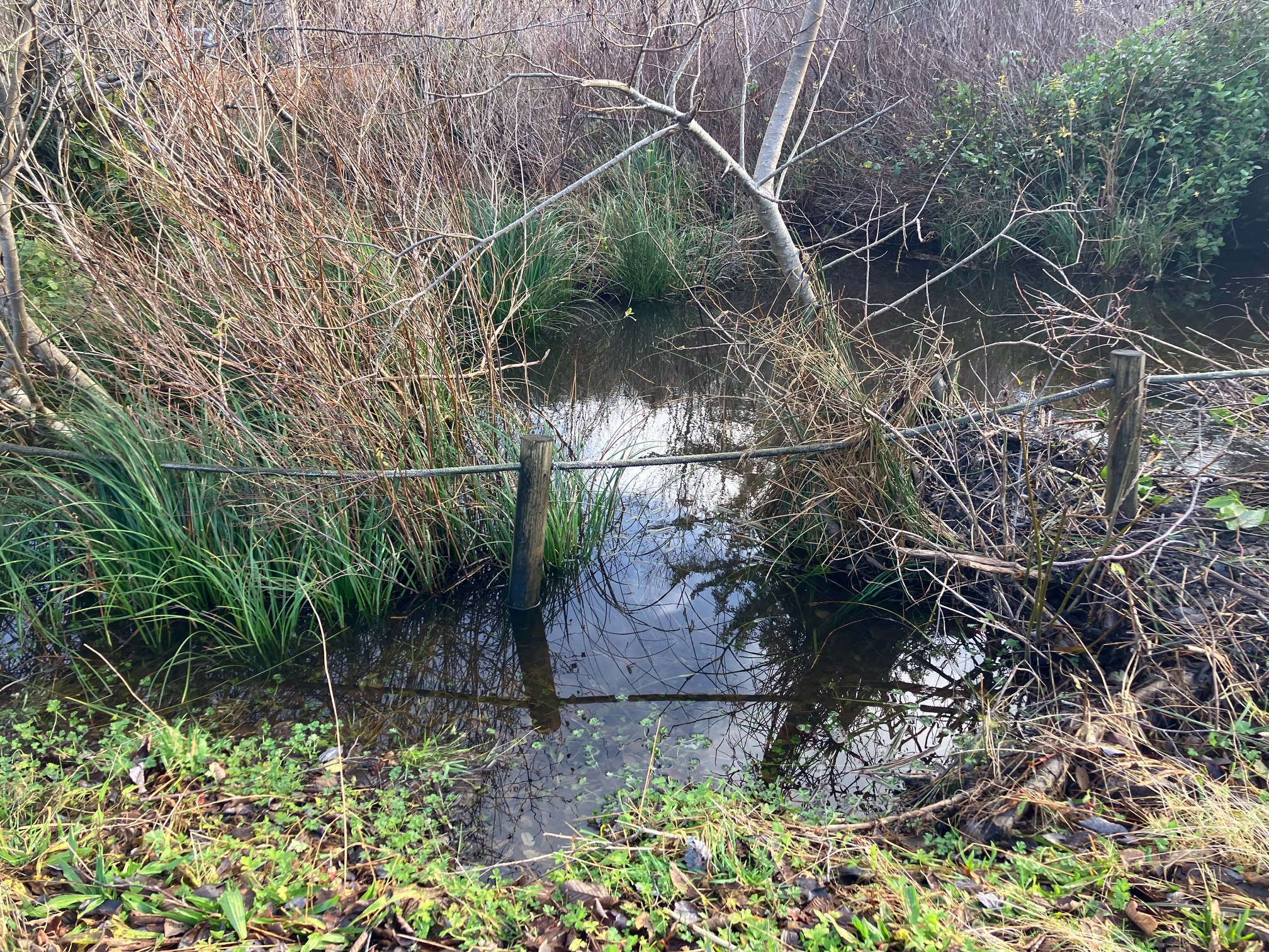 Update on Appeal of Nedonna Wave Planned Unit Development in North ...