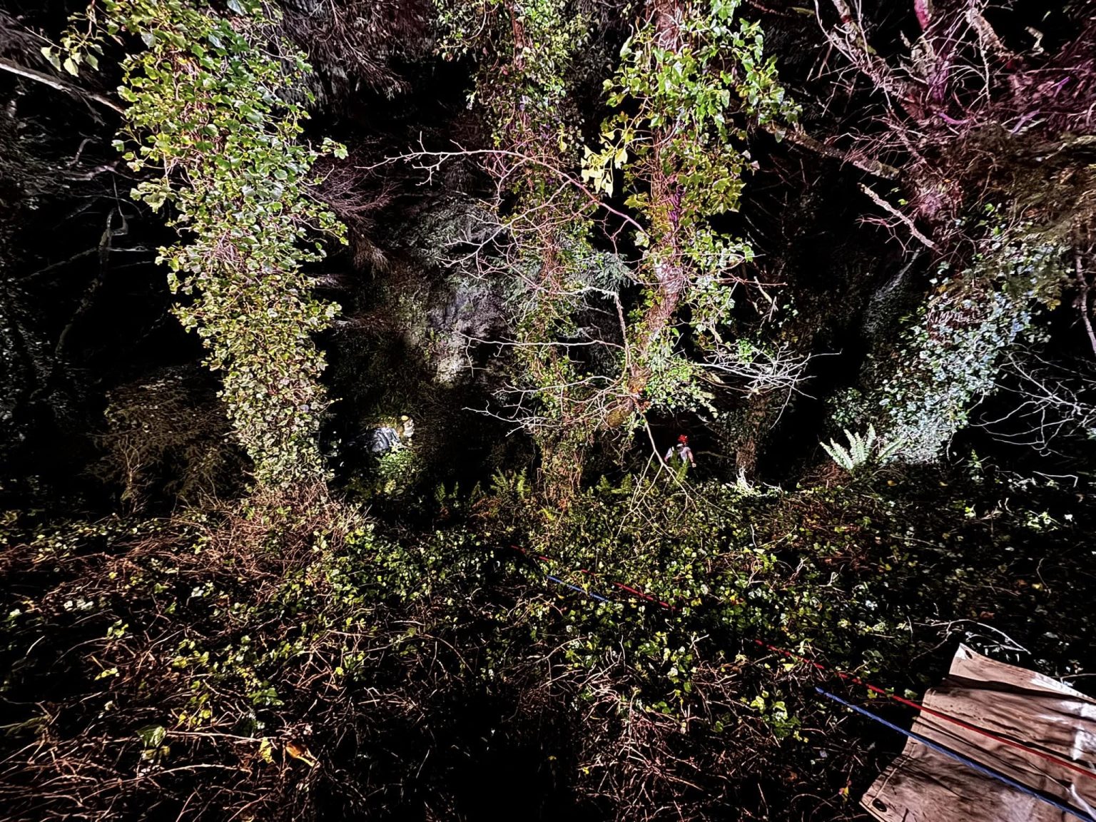 CANNON BEACH FIRE RESCUE FROM CAR 100 FEET OVER CLIFF CLOSES HWY. 101 ...