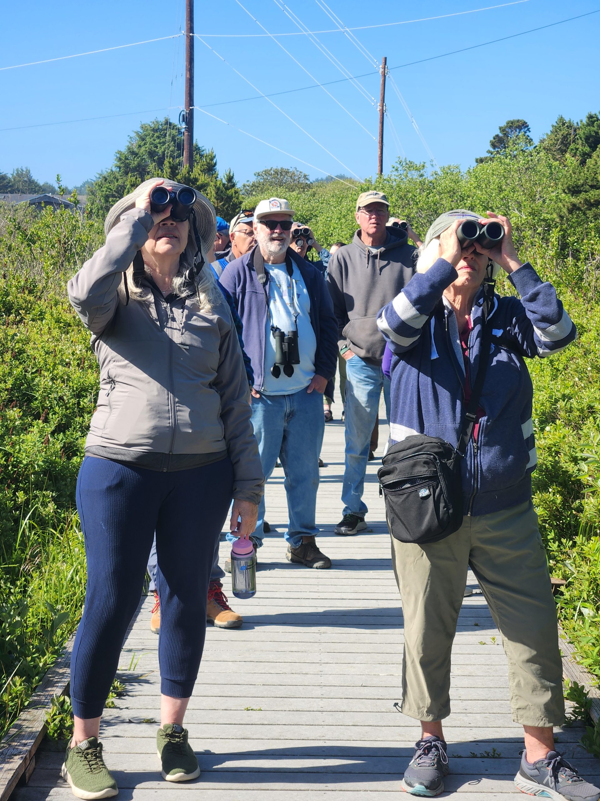 Seven Capes Bird Alliance Offers Birding Basics Course: Class at ...