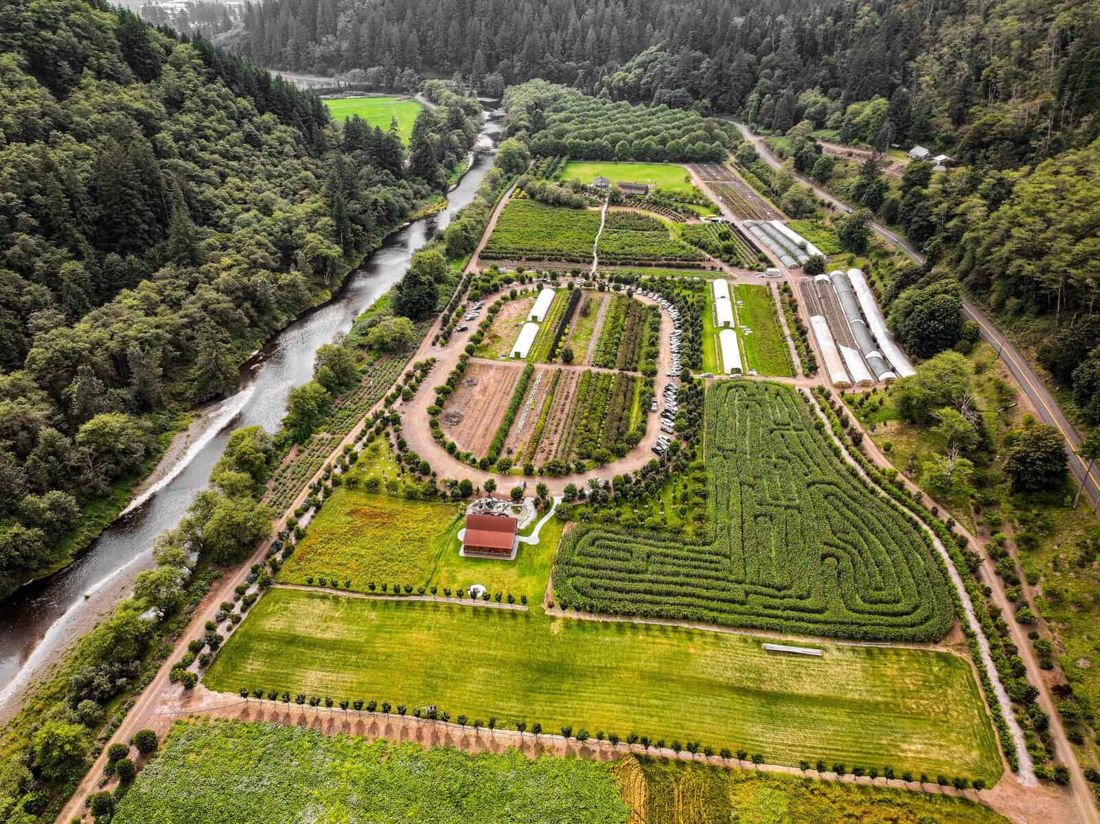 Gourd vibes only at Kilchis River Pumpkin Patch – Opens this weekend ...