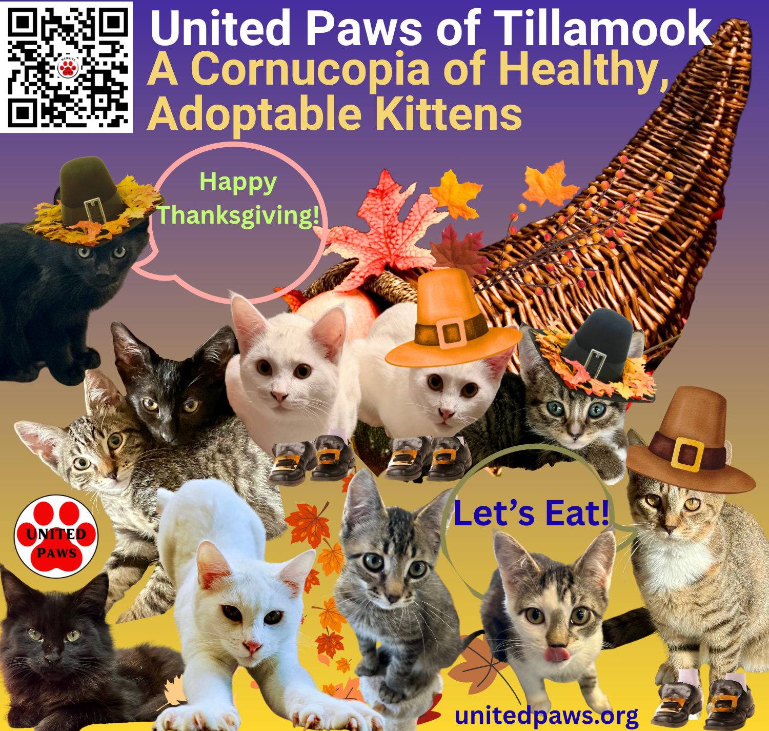 United Paws Cornucopia of Kittens and Cats – Tillamook County Pioneer