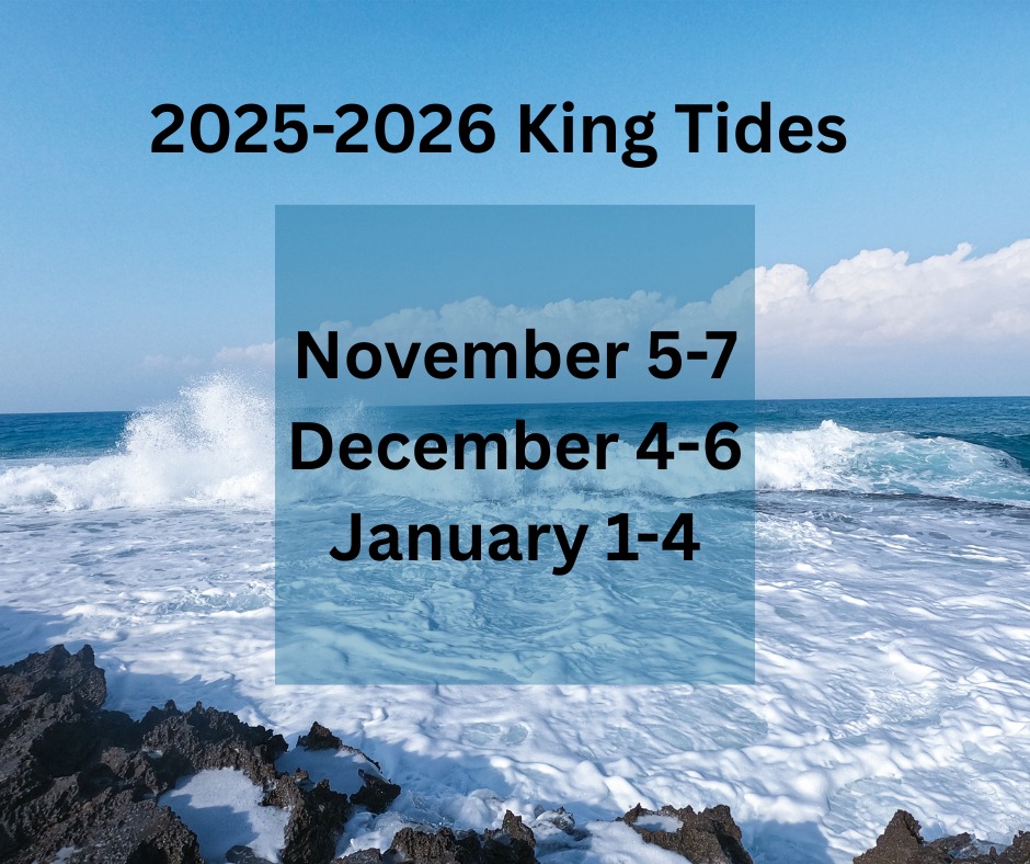 King Tides – Another round happening January 1st – 4th! – Tillamook ...